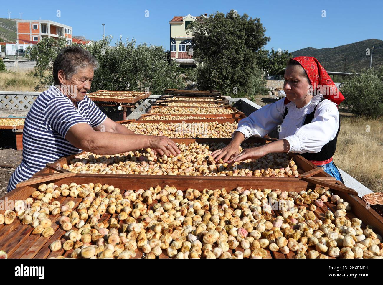 Familienangehörige, die am 9l. September 2021 Feigen auf Grabastica ...