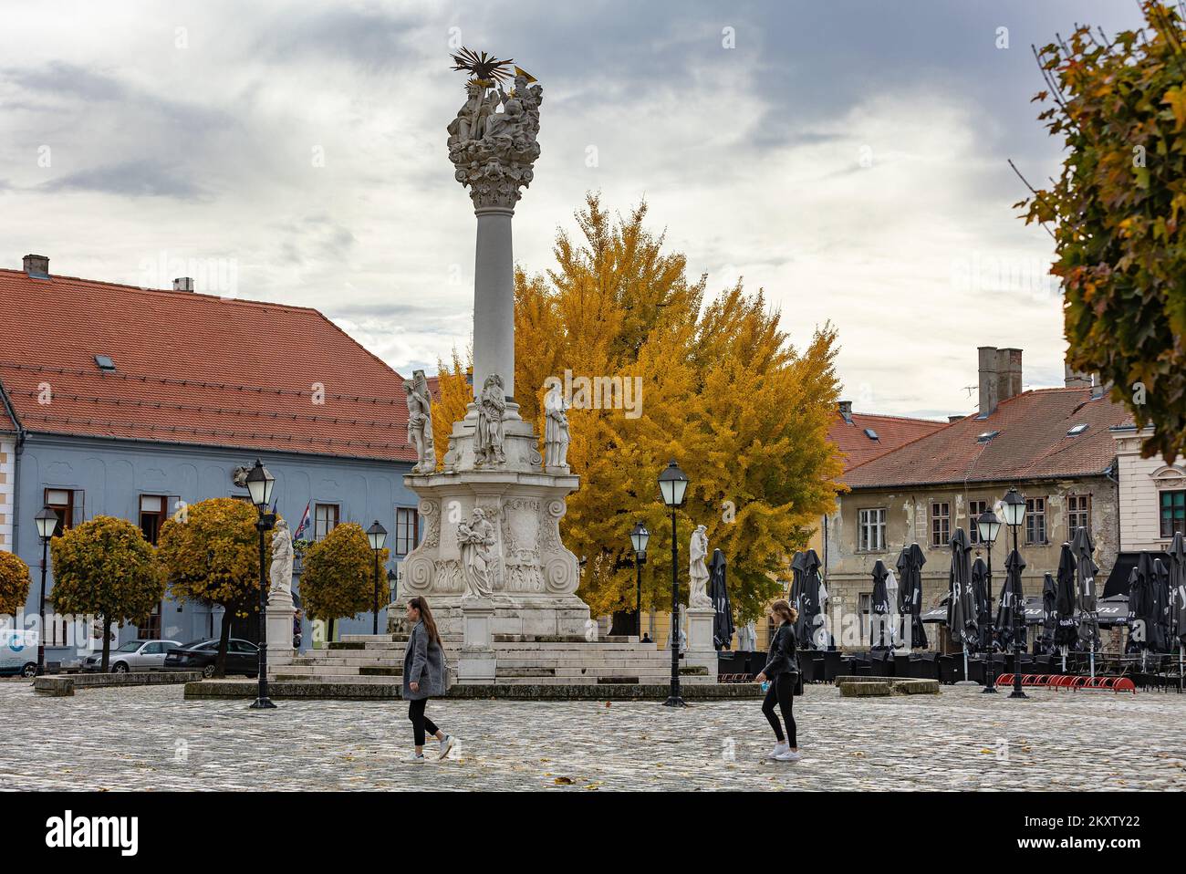 Der berühmte Ginkgo-Baum von Osijek und leere Terrassen der Cafés von ...