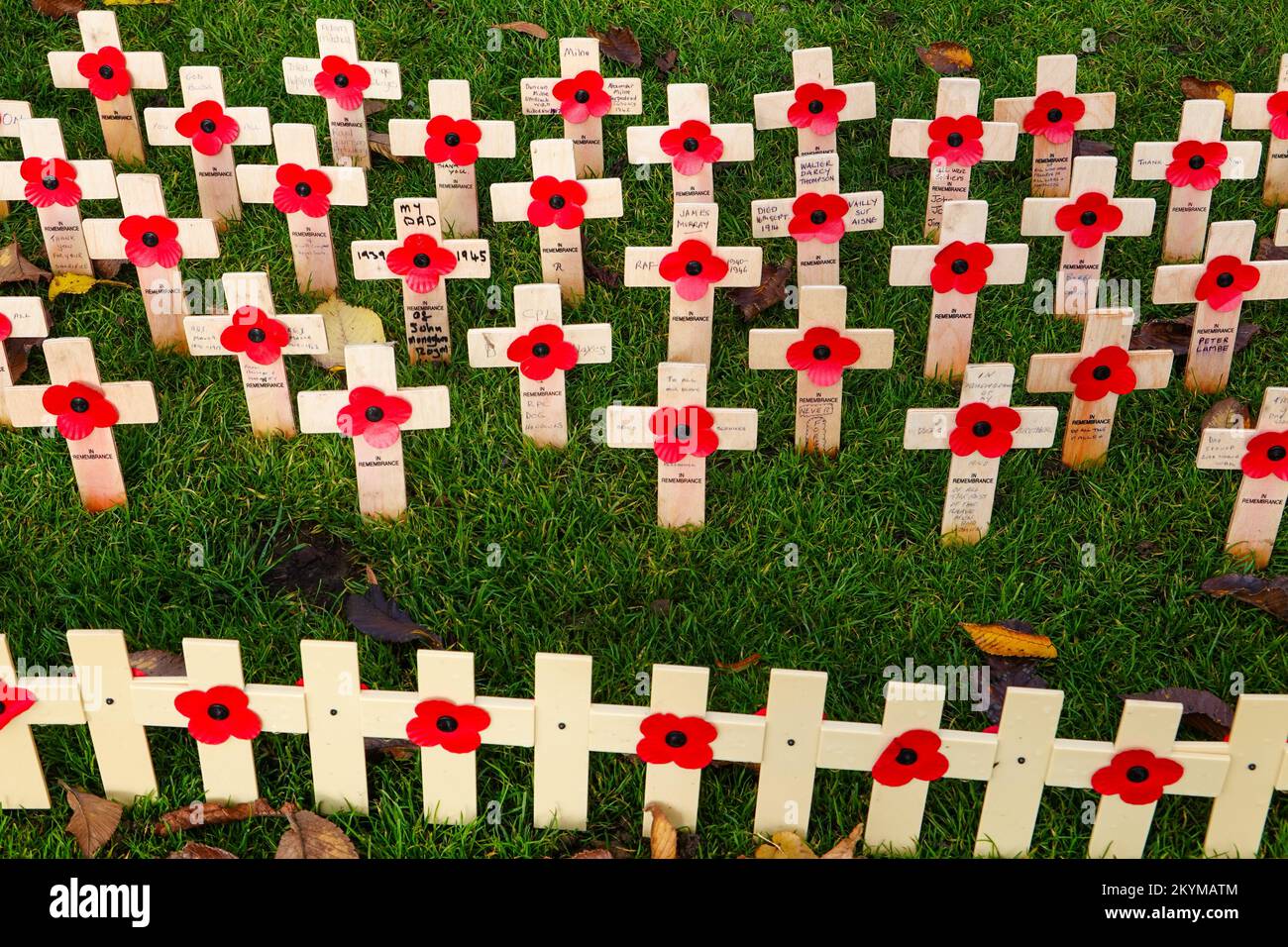 2022 schottischer mohn appell -Fotos und -Bildmaterial in hoher ...