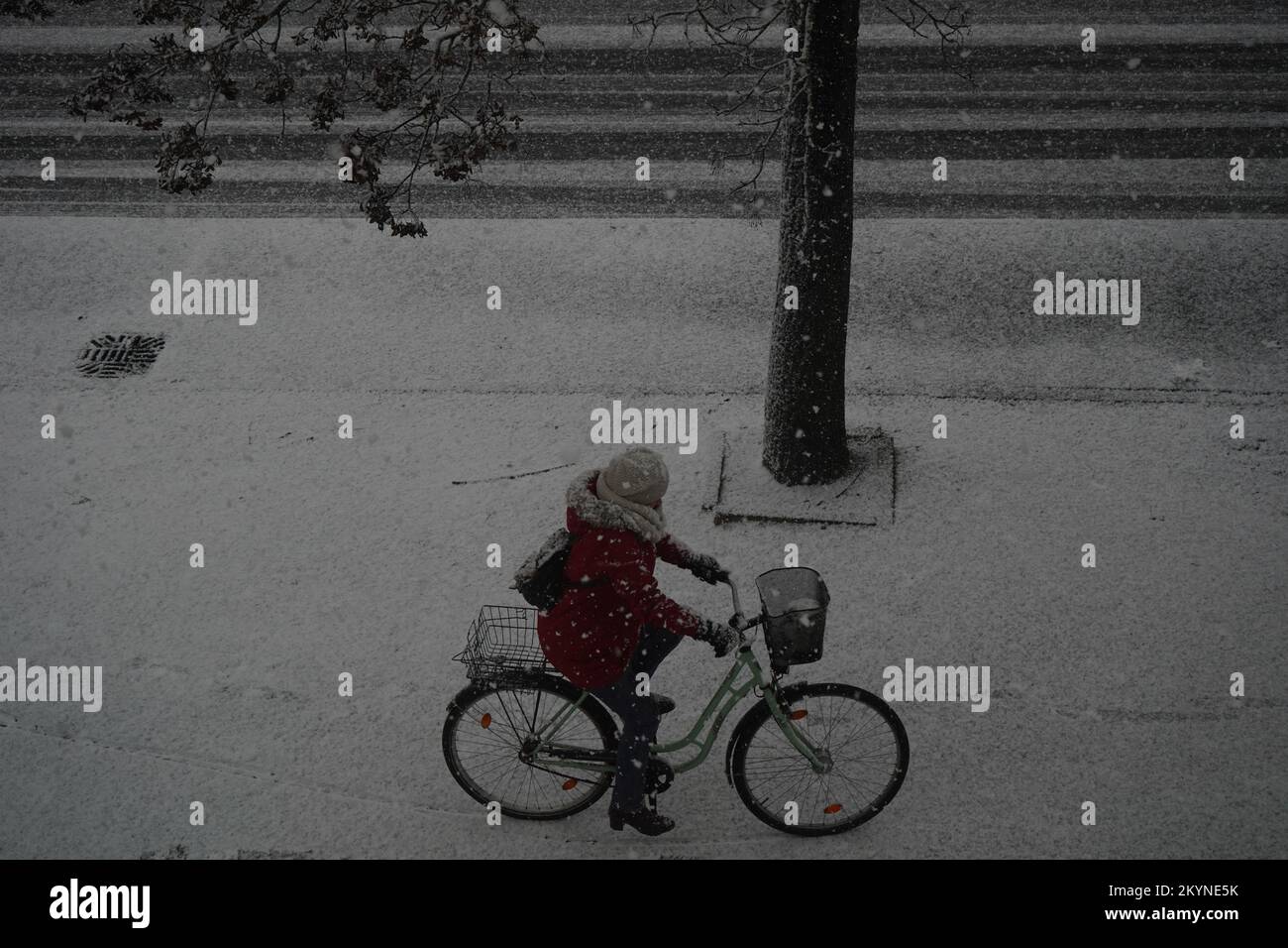 Allgemeiner wandervogel -Fotos und -Bildmaterial in hoher Auflösung – Alamy