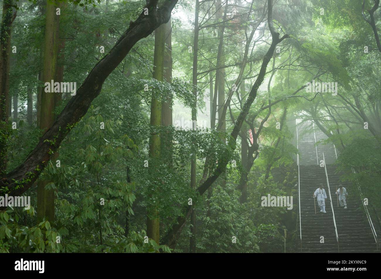 Der Negoro-ji-Tempel ist stimmungsvoll im Nebel der Kagawa-Berge und ...