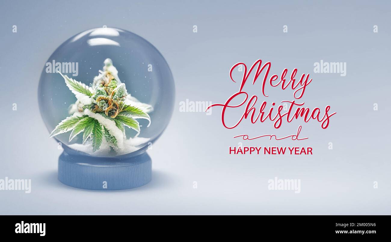 Weihnachten marihuana -Fotos und -Bildmaterial in hoher Auflösung – Alamy