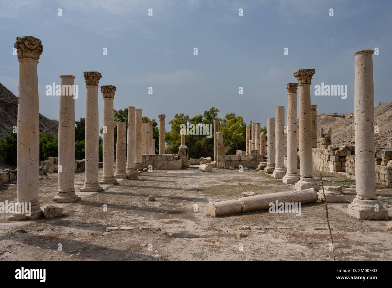 Palaestina secunda -Fotos und -Bildmaterial in hoher Auflösung – Alamy