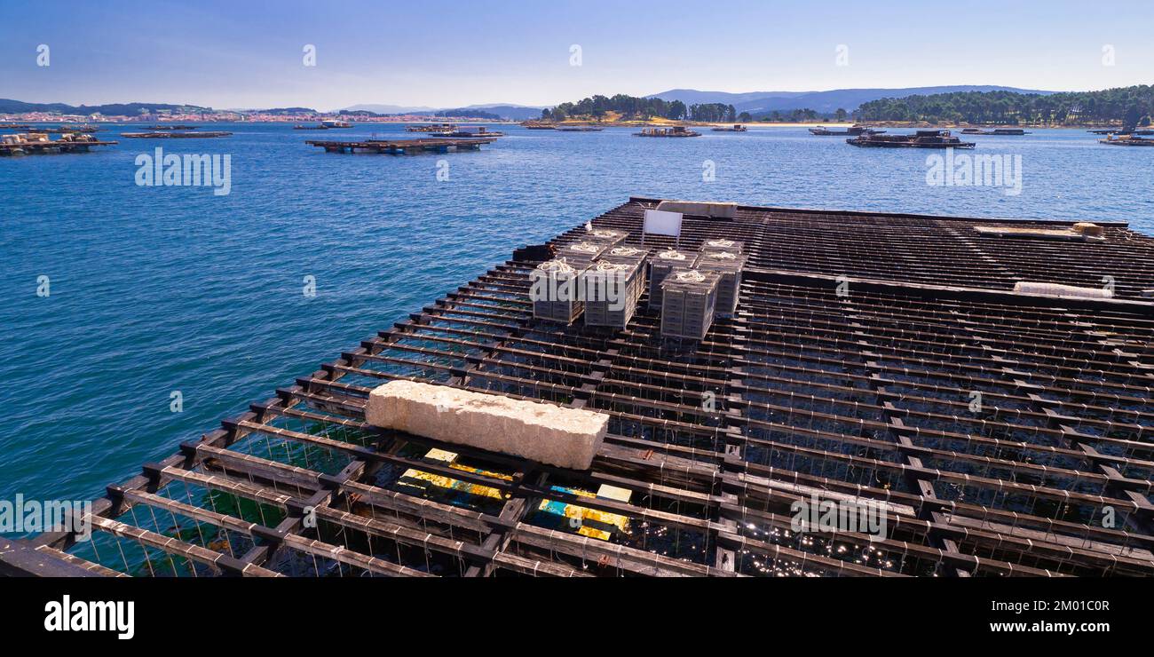 Mussel platform -Fotos und -Bildmaterial in hoher Auflösung – Alamy