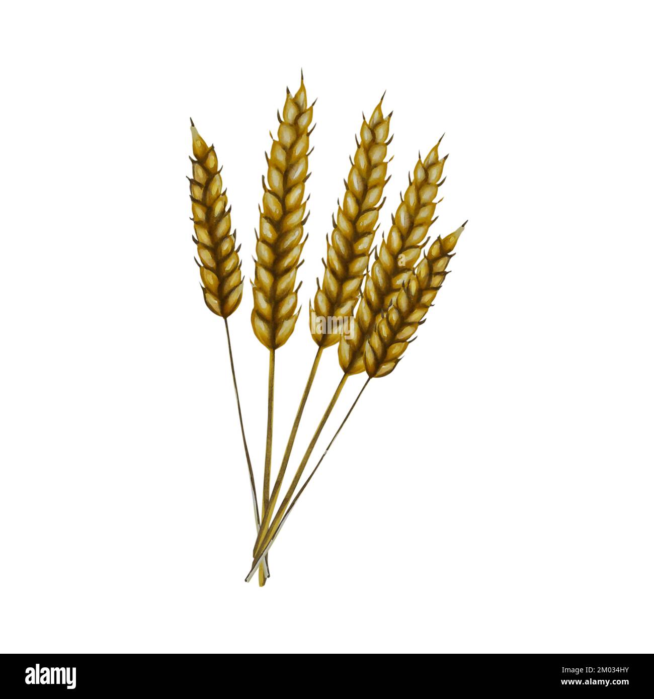 Aquarell clipart herbst blatt -Fotos und -Bildmaterial in hoher ...