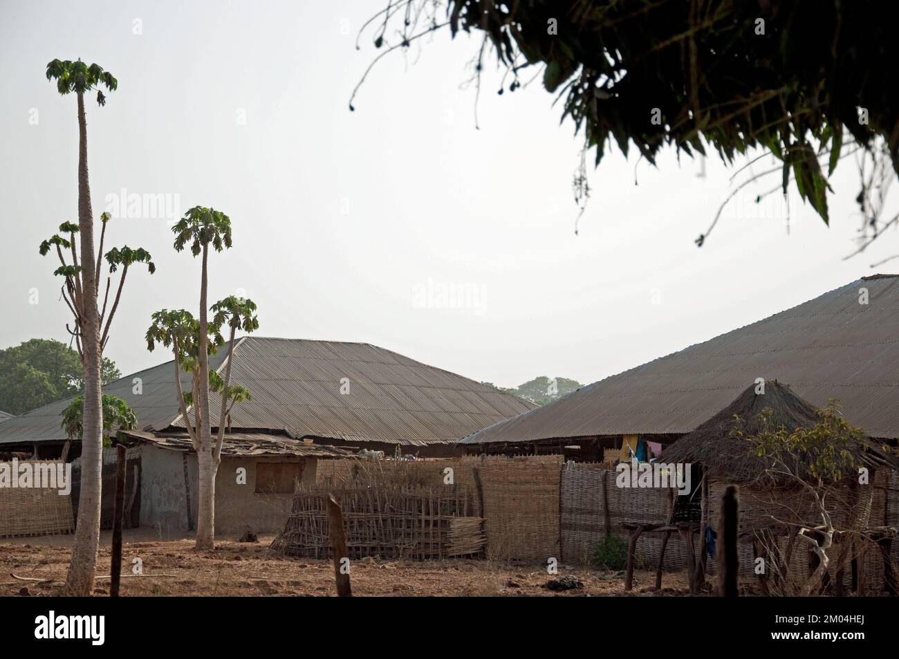 Bafata region -Fotos und -Bildmaterial in hoher Auflösung – Alamy