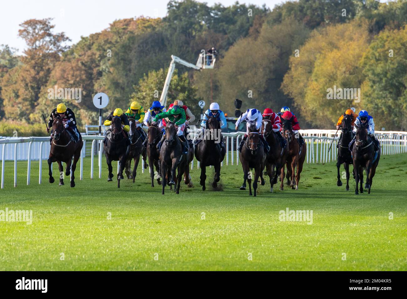 Trainer seamus durack -Fotos und -Bildmaterial in hoher Auflösung – Alamy