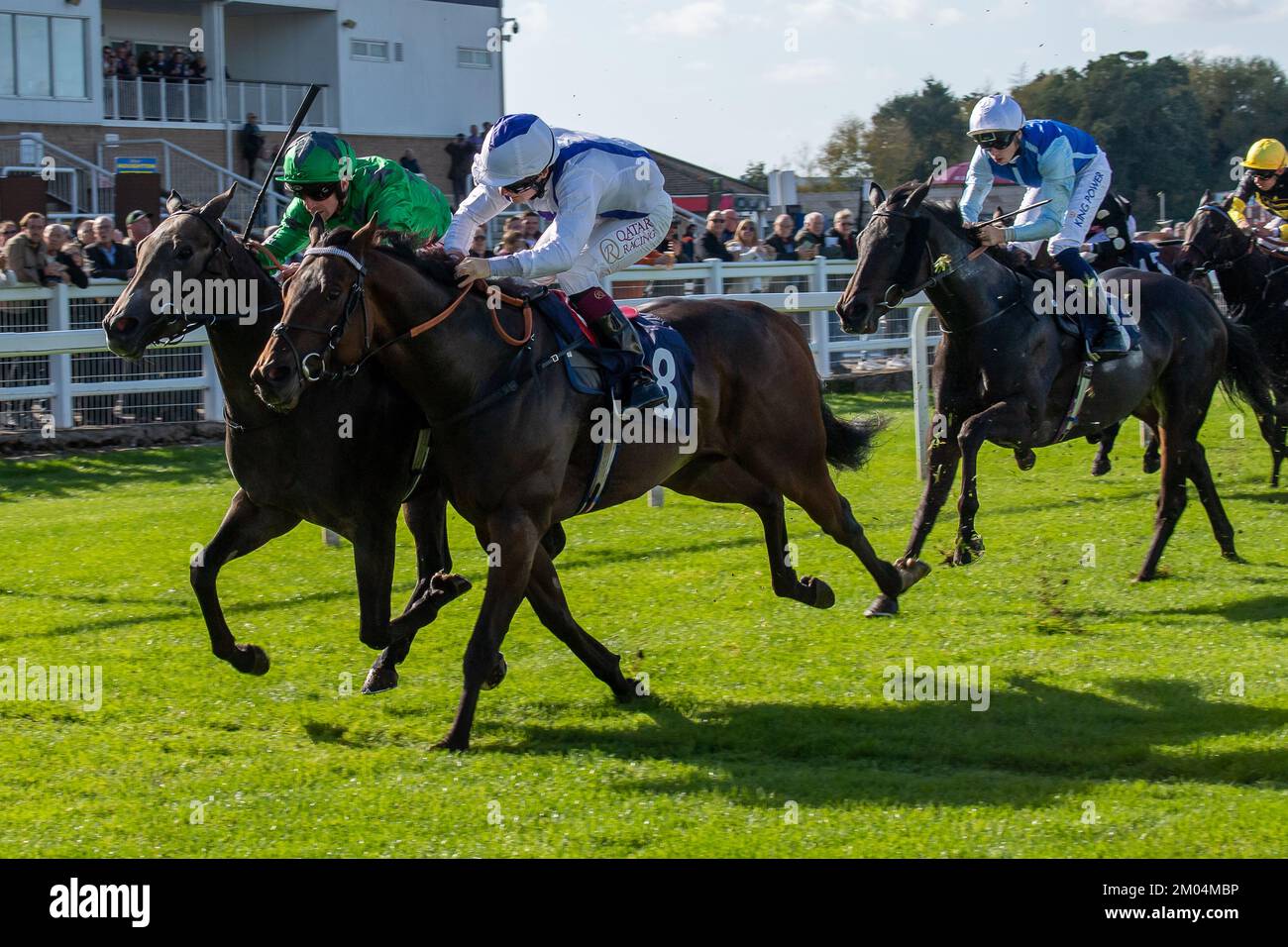 Trainer seamus durack -Fotos und -Bildmaterial in hoher Auflösung – Alamy