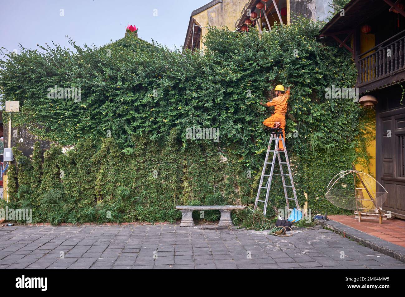 Escalera electrica -Fotos und -Bildmaterial in hoher Auflösung – Alamy