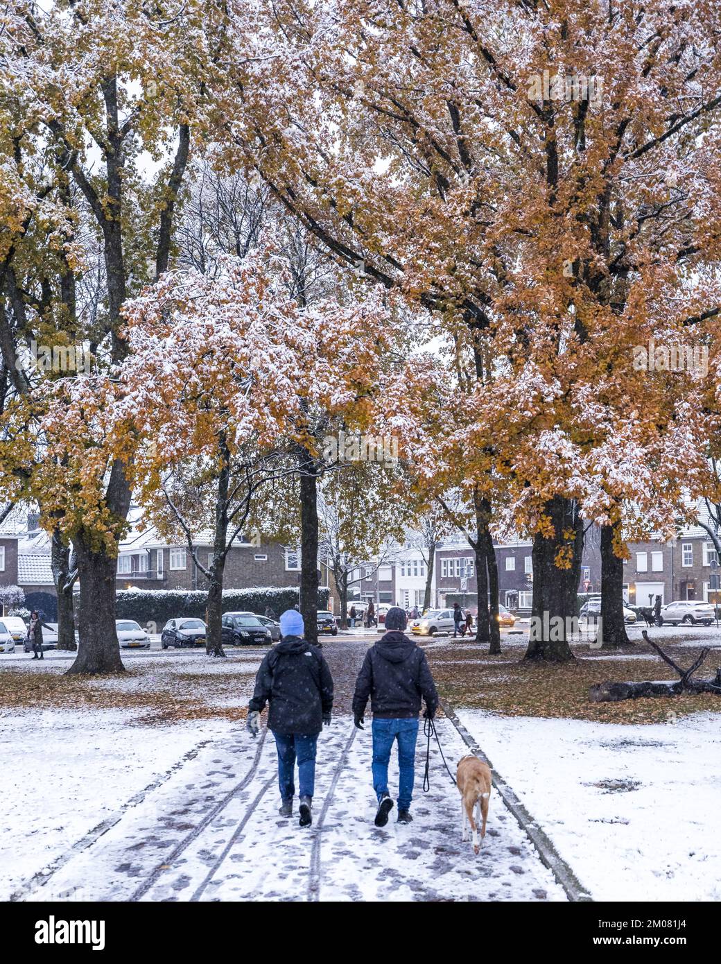 HEERLEN - der erste Schnee dieses Winters ist gefallen. Mehrere Orte in Süd-Limburg sind von ...