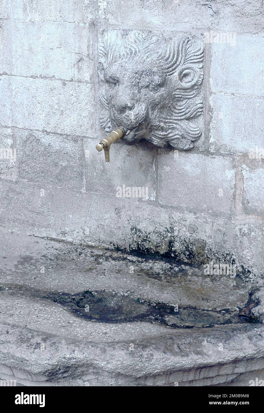 DETALLE DE UNO DE LOS MASCARONES DE LA FUENTE DE LA VIRGEN DE LA PERA ...