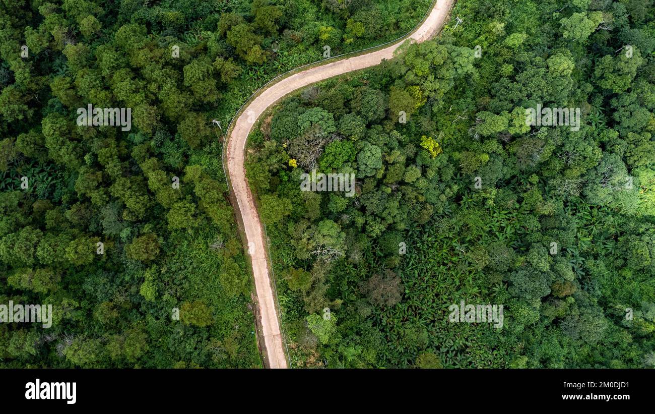 Luftaufnahme von der Drohne der Bergstraße mit Sonnenschein im Wald. Blick von oben auf eine ...