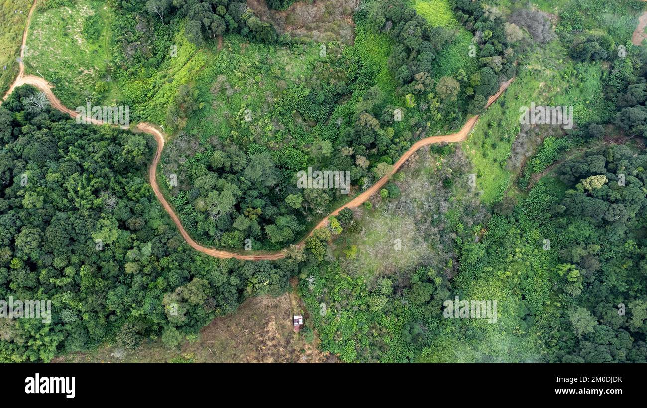 Luftaufnahme von der Drohne der Bergstraße mit Sonnenschein im Wald. Blick von oben auf eine ...