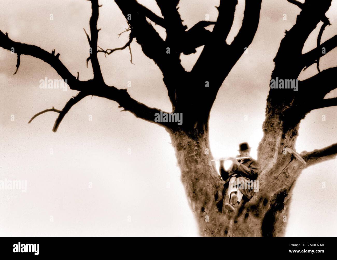 Er sitzt im ruhestand mit hut auf dem baum -Fotos und -Bildmaterial in ...