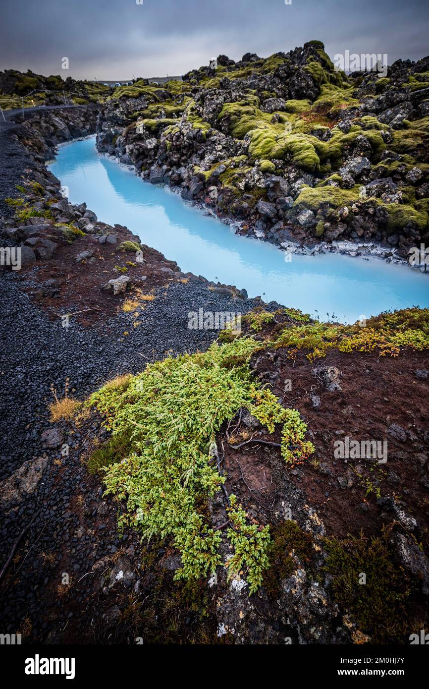 Island, Region Sudurnes, Grindavik, Halbinsel Reykjanes, Blaue Lagune ...