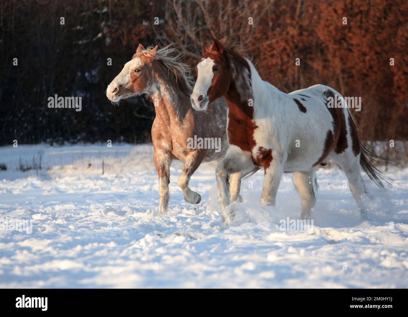 Mix paint -Fotos und -Bildmaterial in hoher Auflösung – Alamy
