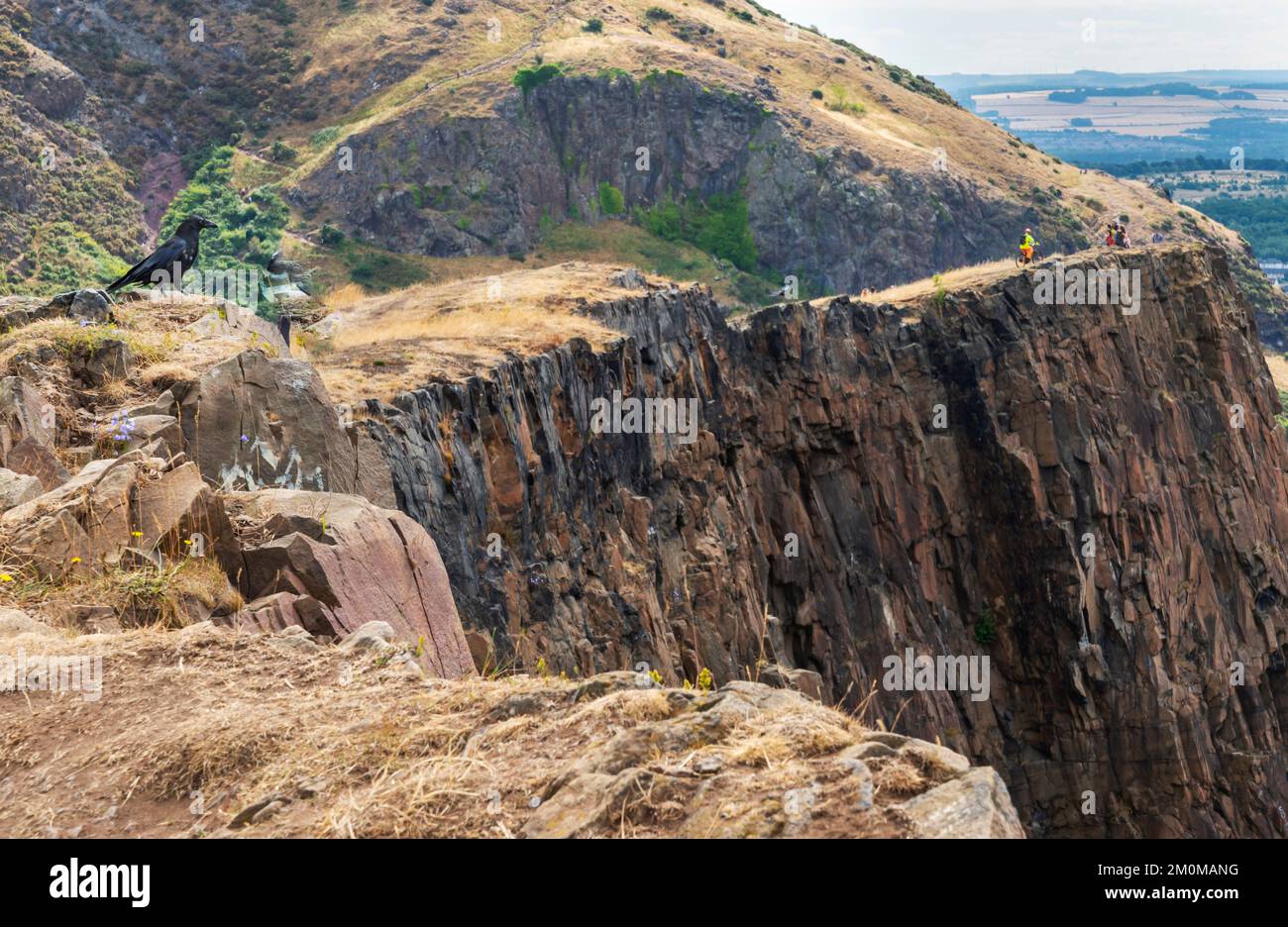 Krähe hoch oben auf einem Felsen, mit Blick auf die Skyline von ...