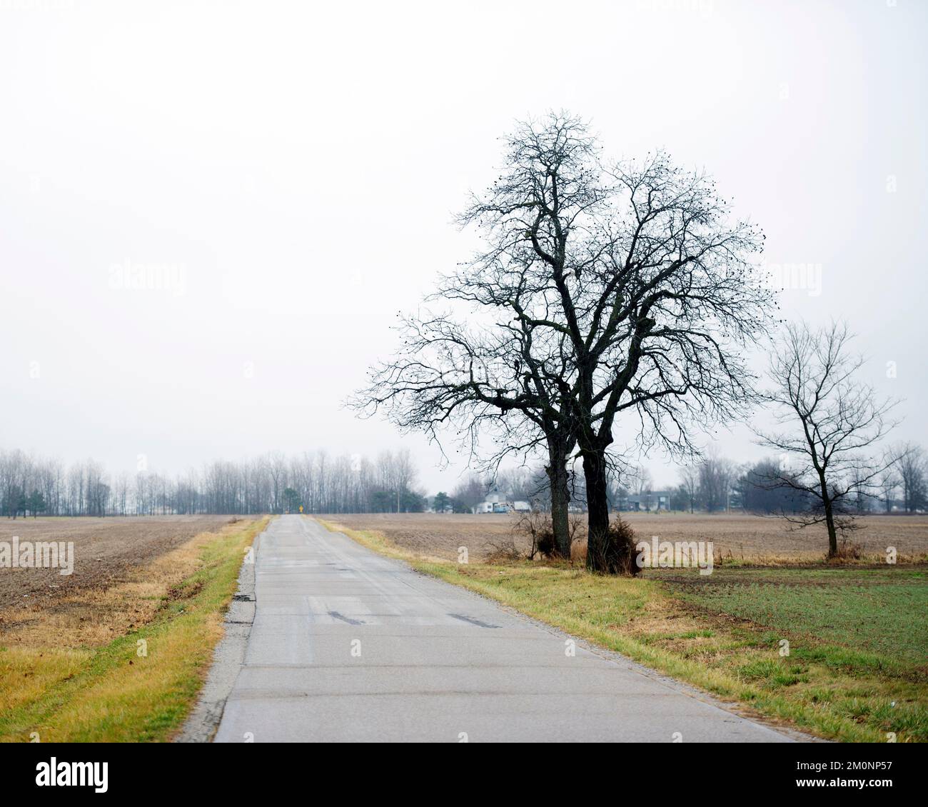 7 dezember 2022 -Fotos und -Bildmaterial in hoher Auflösung – Alamy