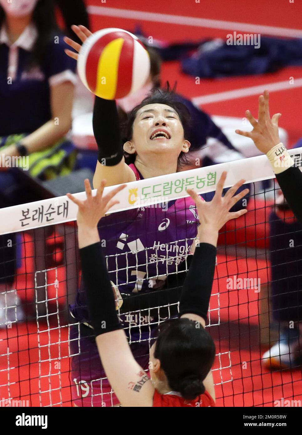 08.. Dezember 2022. Volleyball: Heungkuk Life vs. Pepper Savings Bank ...