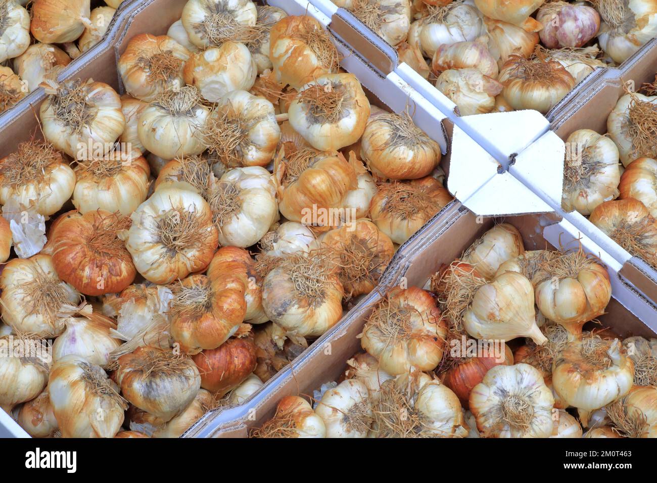 Frankreich, Nord, Cuincy, Nord Pas de Calais Bergbaubecken, Ferme du ...