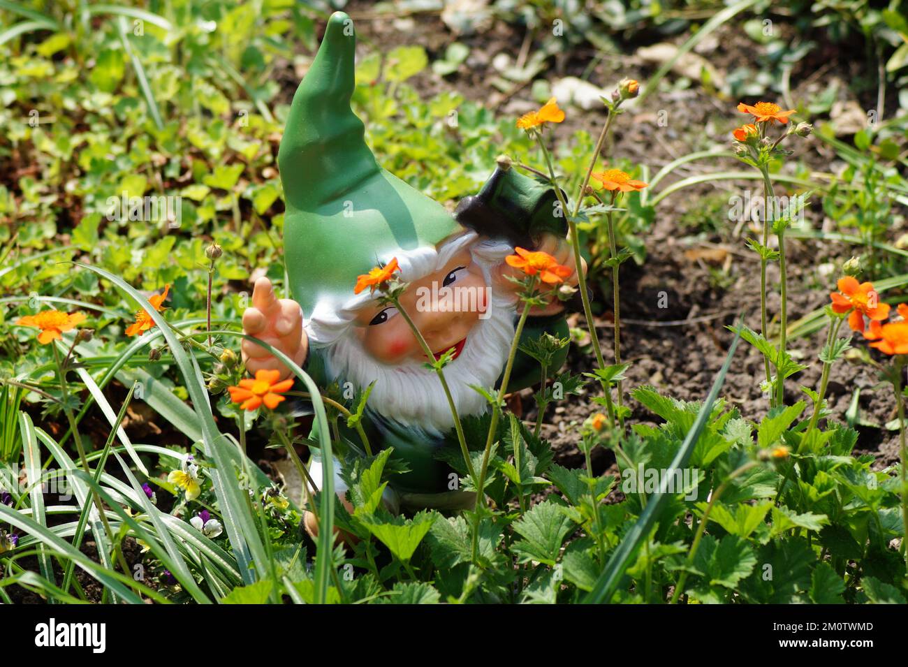 Zwerg zwerge -Fotos und -Bildmaterial in hoher Auflösung – Alamy