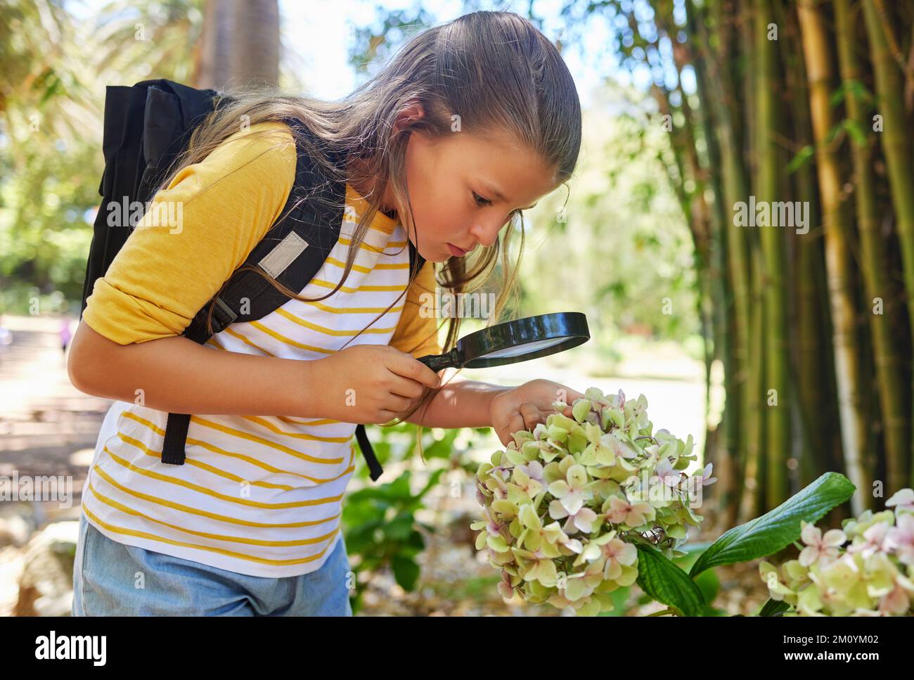 Kinder garten lupe -Fotos und -Bildmaterial in hoher Auflösung – Alamy