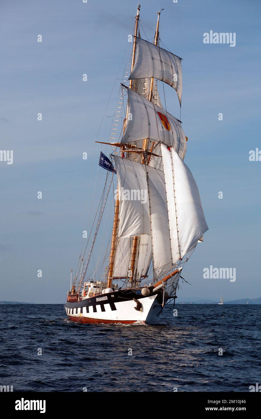 Der brabander -Fotos und -Bildmaterial in hoher Auflösung – Alamy