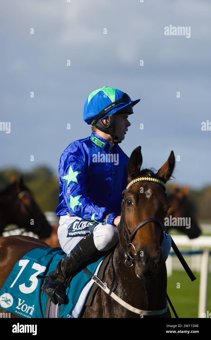 Anjo bonita -Fotos und -Bildmaterial in hoher Auflösung – Alamy