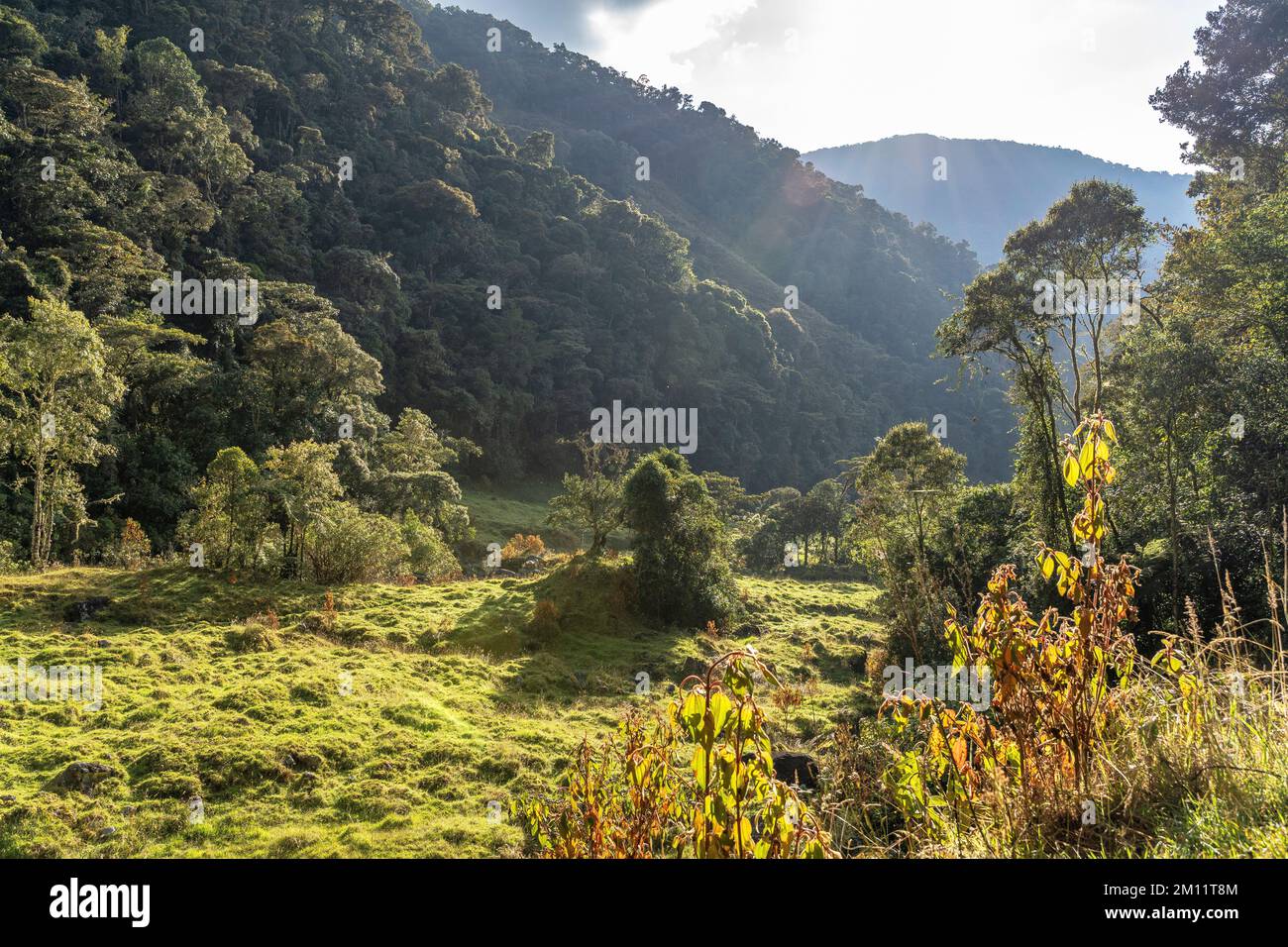 Berglandschaft bei ramo del sol -Fotos und -Bildmaterial in hoher Auflösung – Alamy