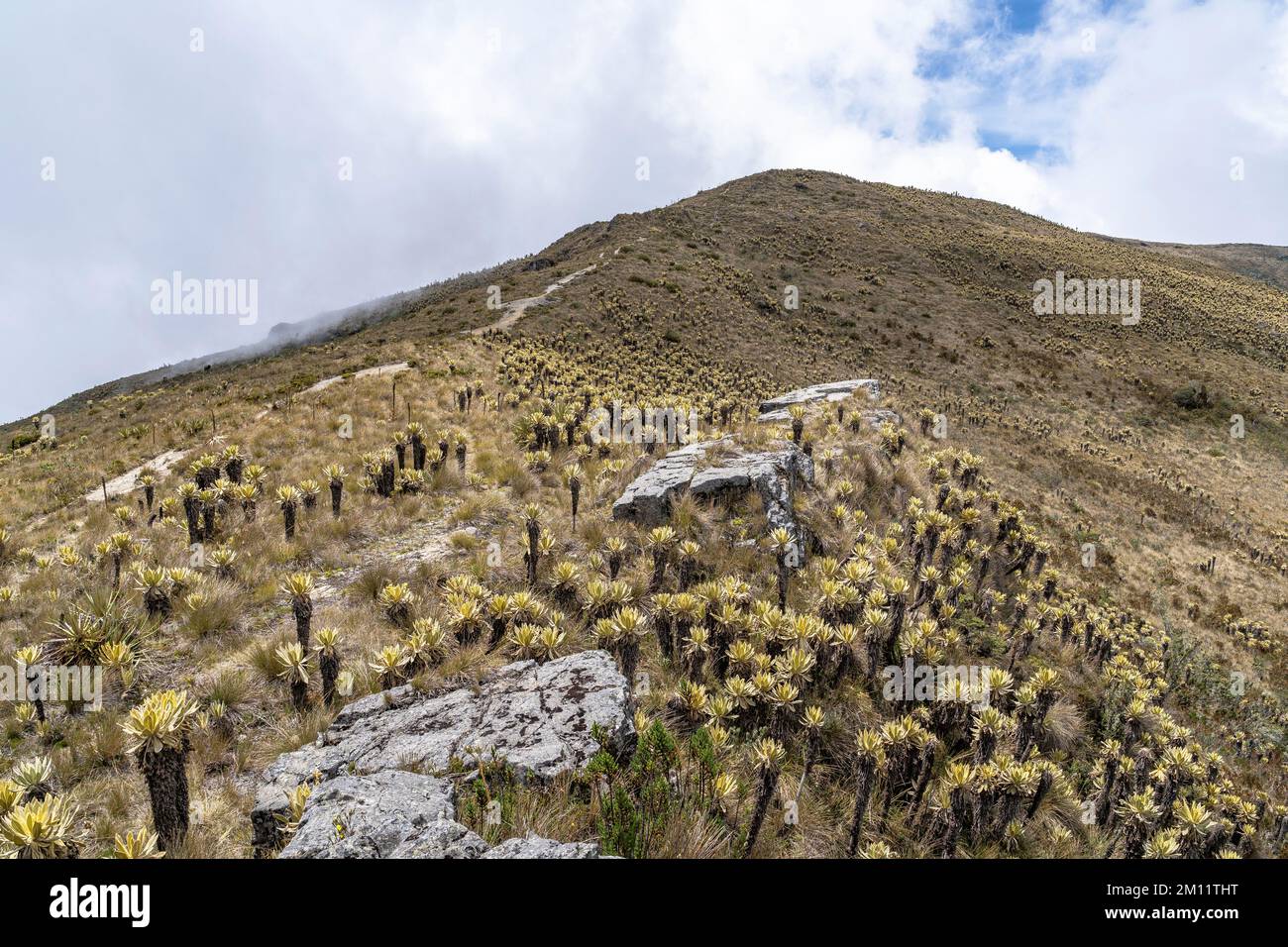 Aufstiegsweg nach alto de campanas -Fotos und -Bildmaterial in hoher Auflösung – Alamy