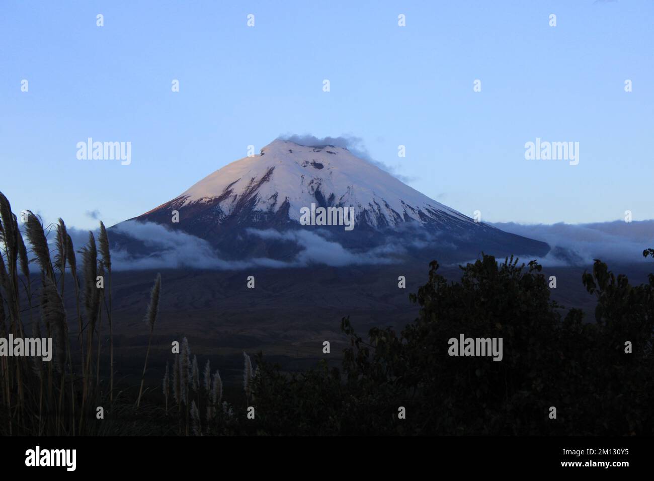 Mt cotopaxi -Fotos und -Bildmaterial in hoher Auflösung – Alamy