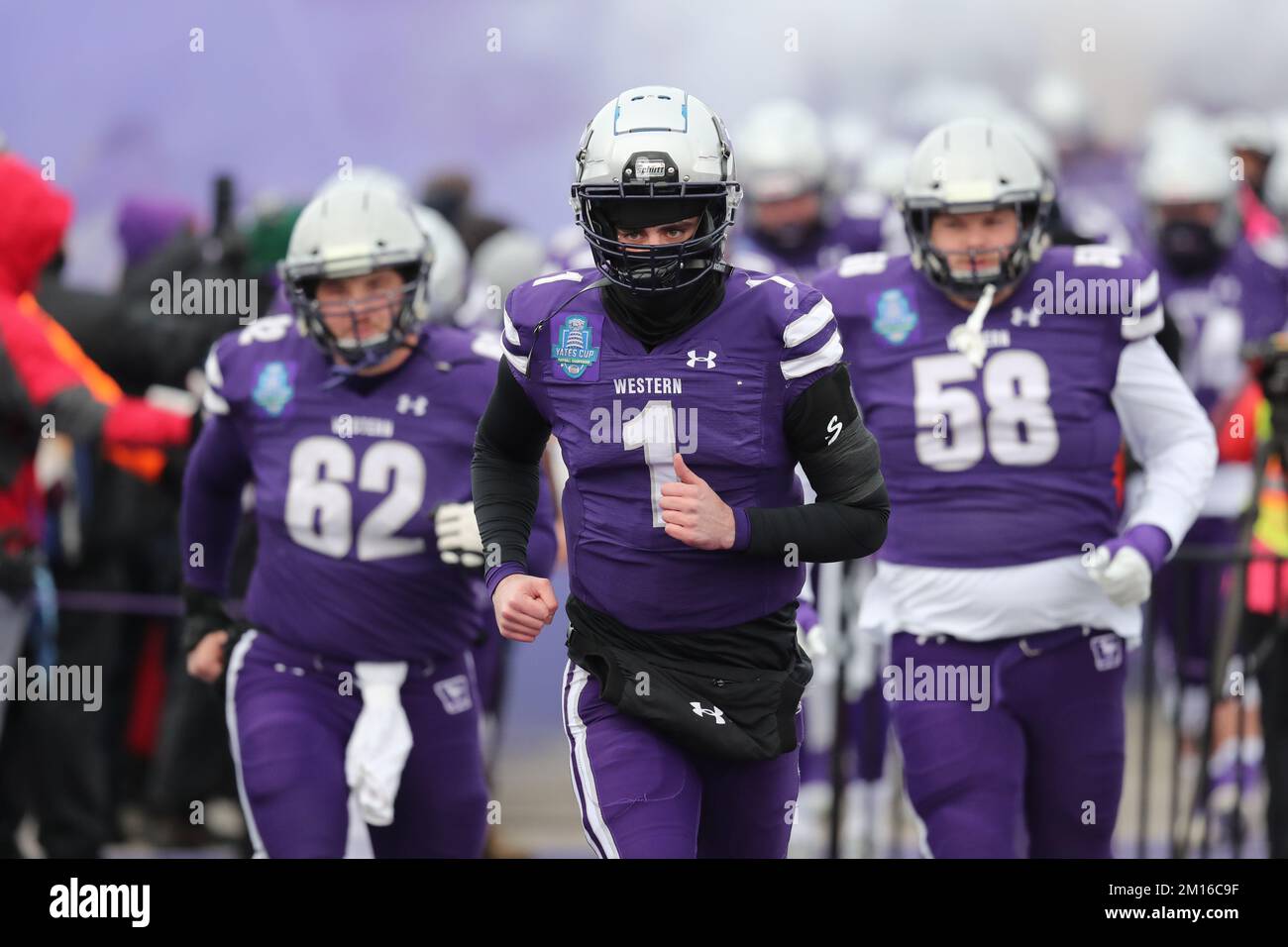 Western mustangs 2022 -Fotos und -Bildmaterial in hoher Auflösung – Alamy