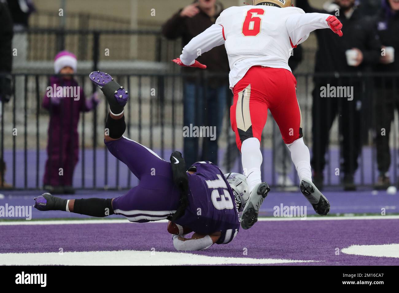 Western mustangs 2022 -Fotos und -Bildmaterial in hoher Auflösung – Alamy
