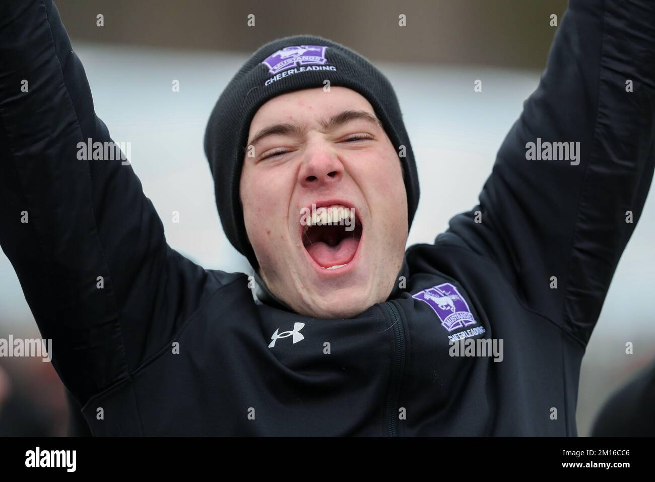 Western mustangs 2022 -Fotos und -Bildmaterial in hoher Auflösung – Alamy