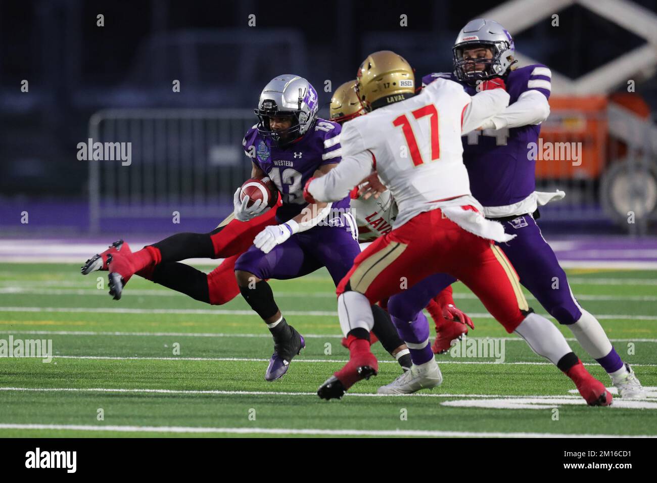 Western mustangs 2022 -Fotos und -Bildmaterial in hoher Auflösung – Alamy