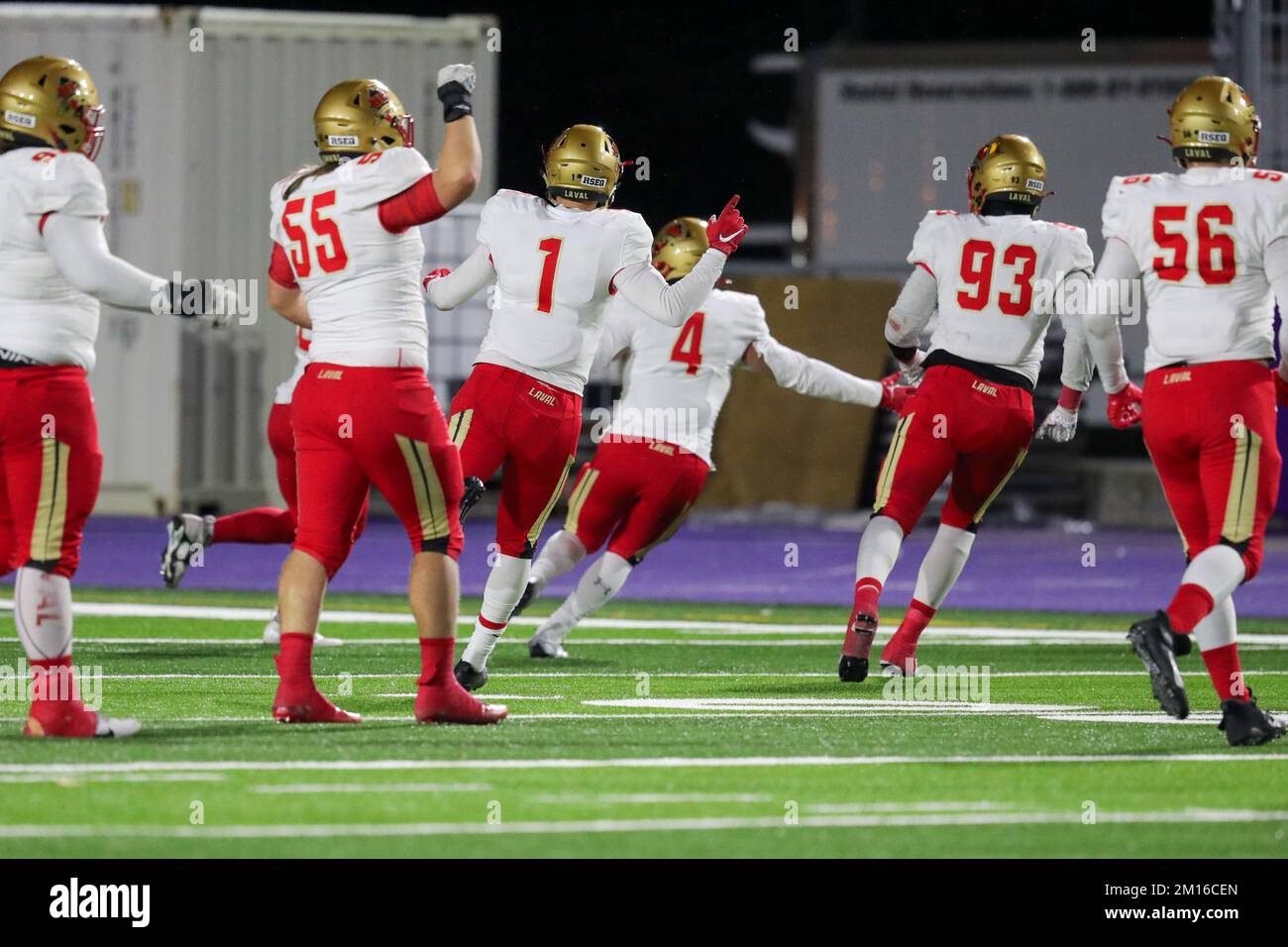 Western mustangs 2022 -Fotos und -Bildmaterial in hoher Auflösung – Alamy
