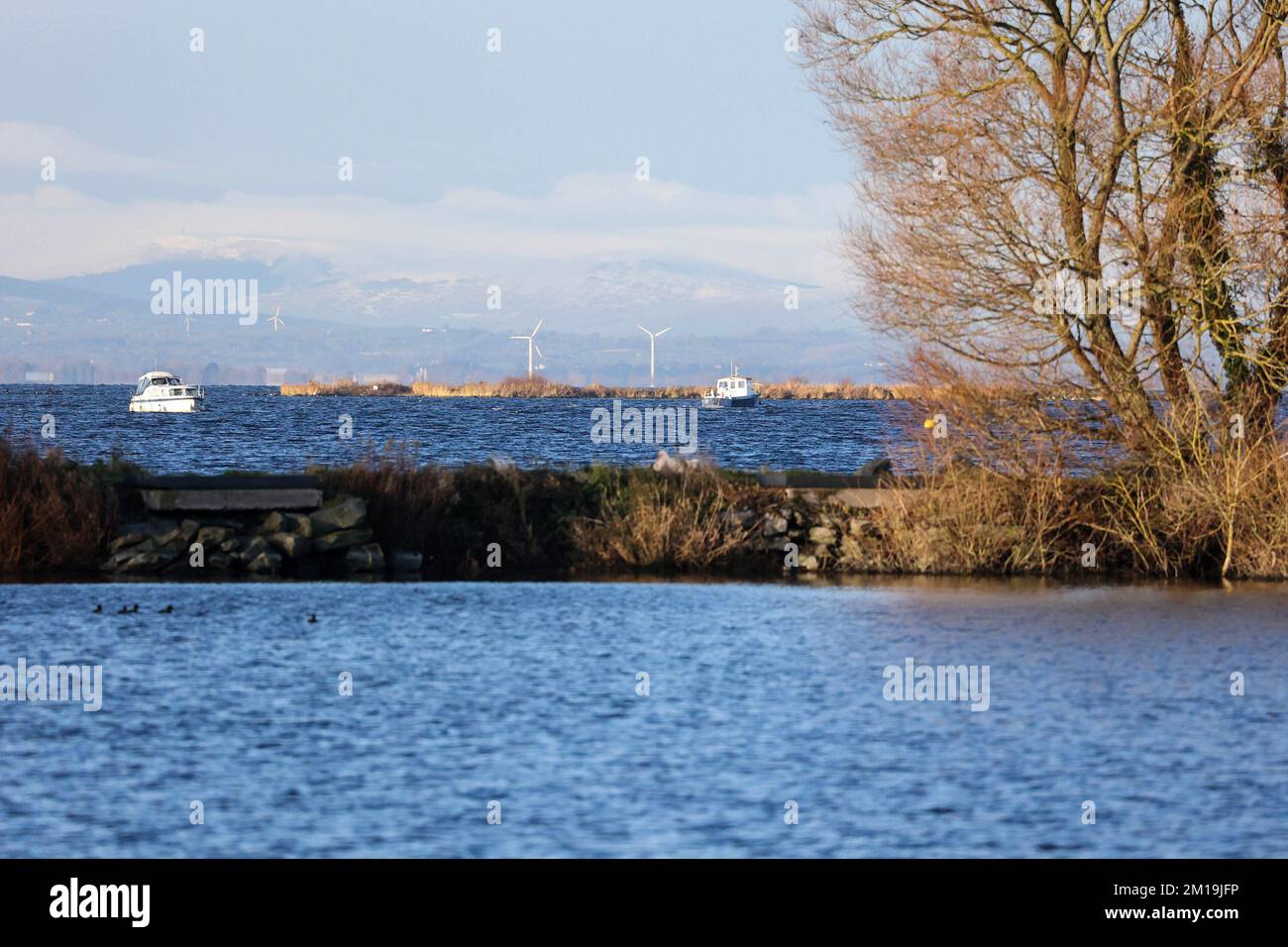 South Shore Lough Neagh, in der Nähe von Lurgan, County Armagh ...