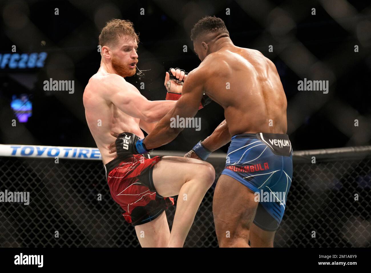 Edmen shahbazyan -Fotos und -Bildmaterial in hoher Auflösung – Alamy