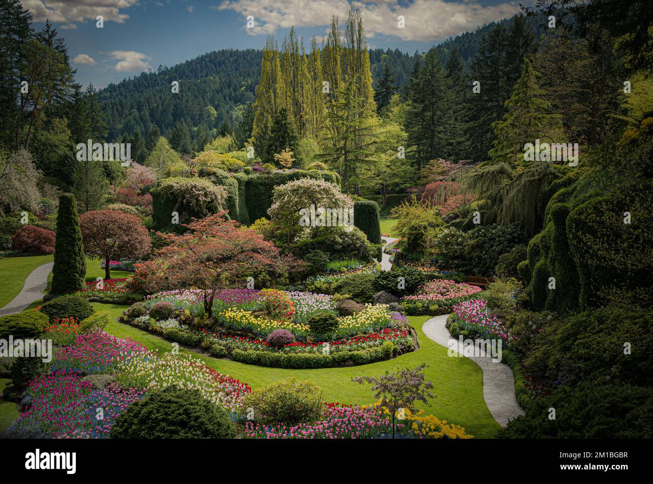 Buchart gardens -Fotos und -Bildmaterial in hoher Auflösung – Alamy