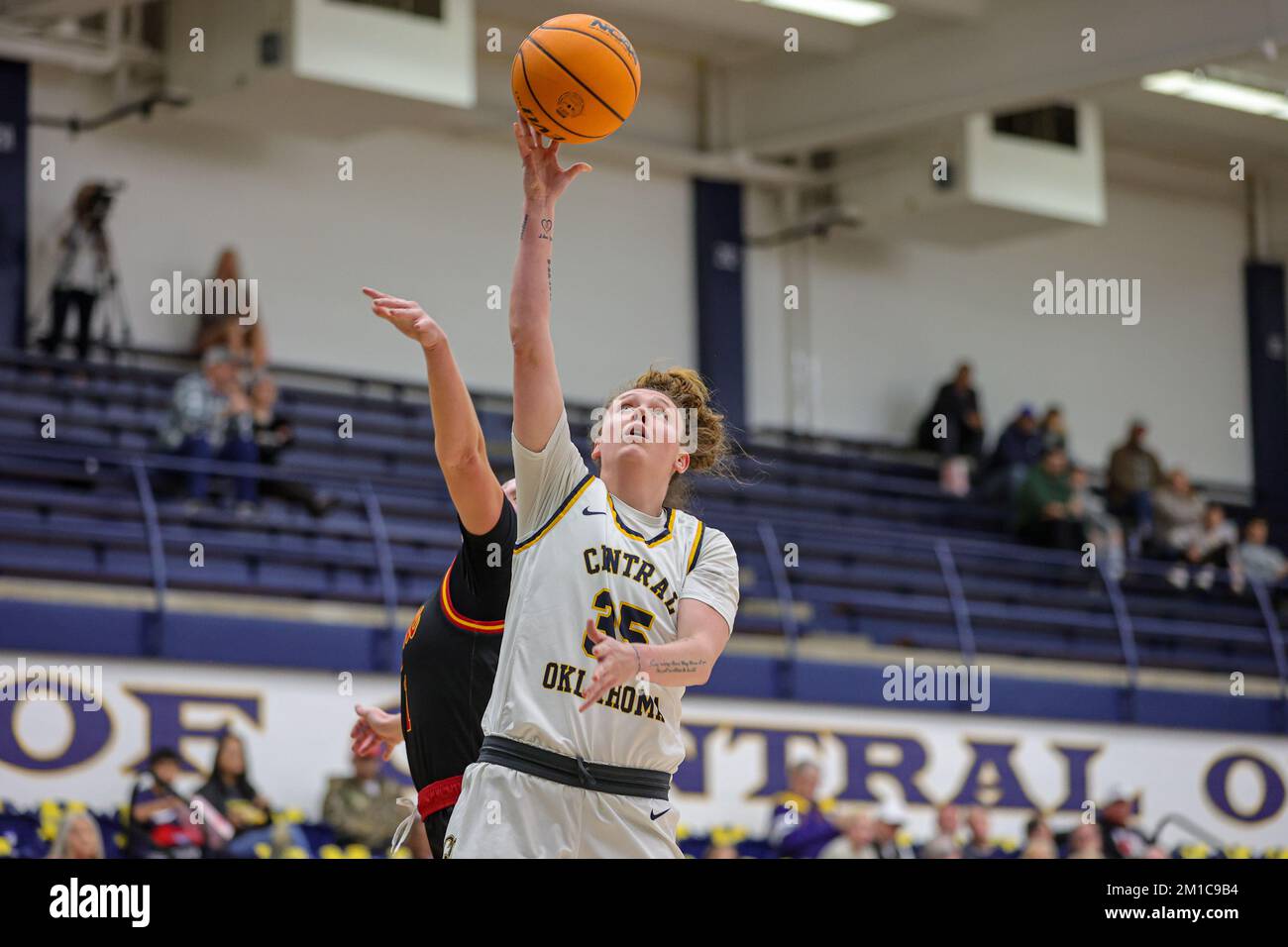 Ingwer hamilton -Fotos und -Bildmaterial in hoher Auflösung – Alamy