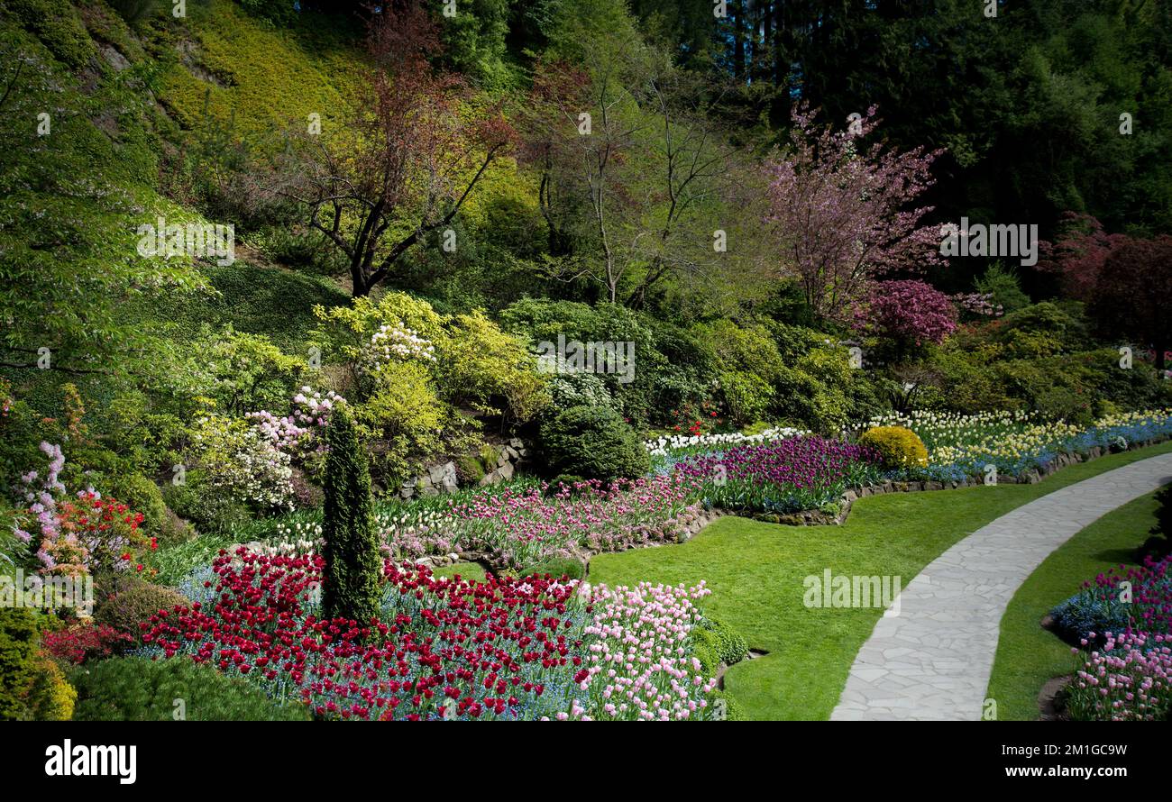 Buchart gardens -Fotos und -Bildmaterial in hoher Auflösung – Alamy
