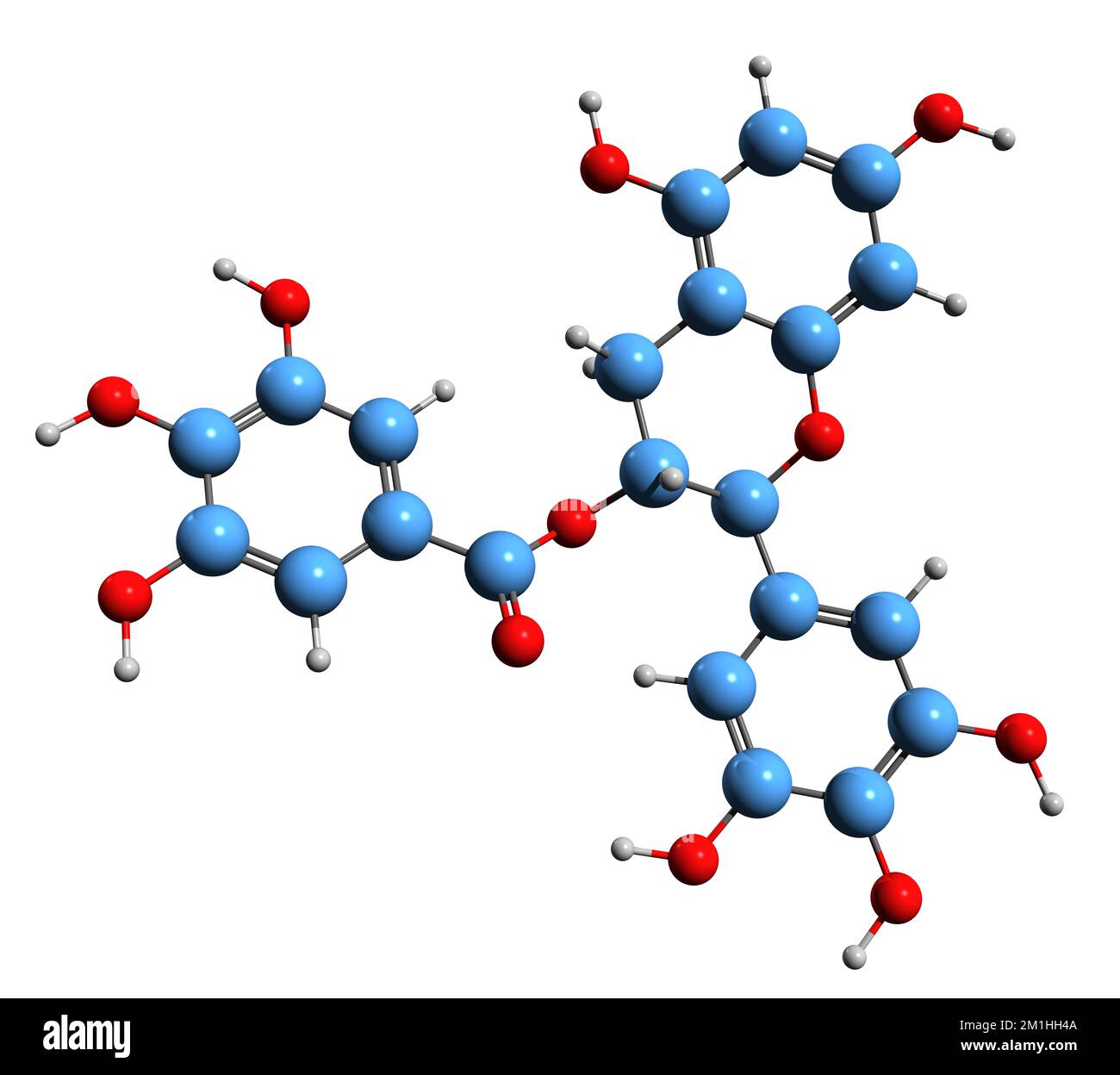 3D-Bild einer Epigallocatechin-Gallat-Skelettformel ...