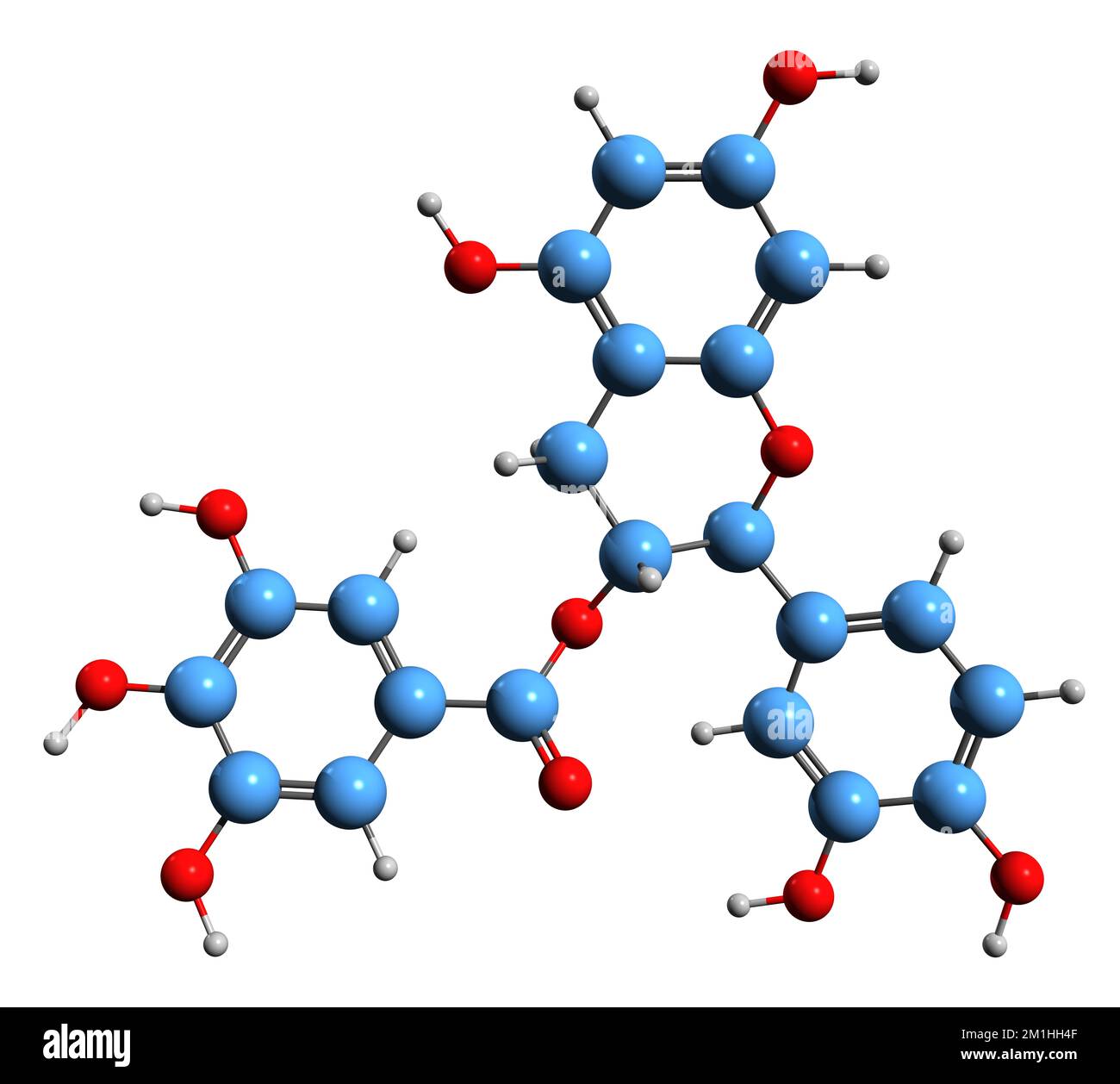 3D-Bild der Epicatechin-Gallat-Skelettformel - molekularchemische ...