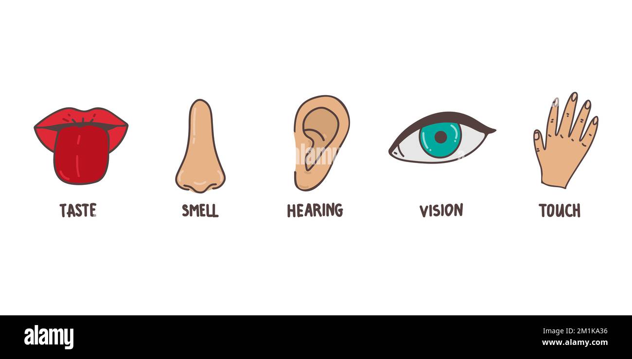 Fünf Liniensymbole für die menschlichen Sinne. Sehen, riechen, hören ...