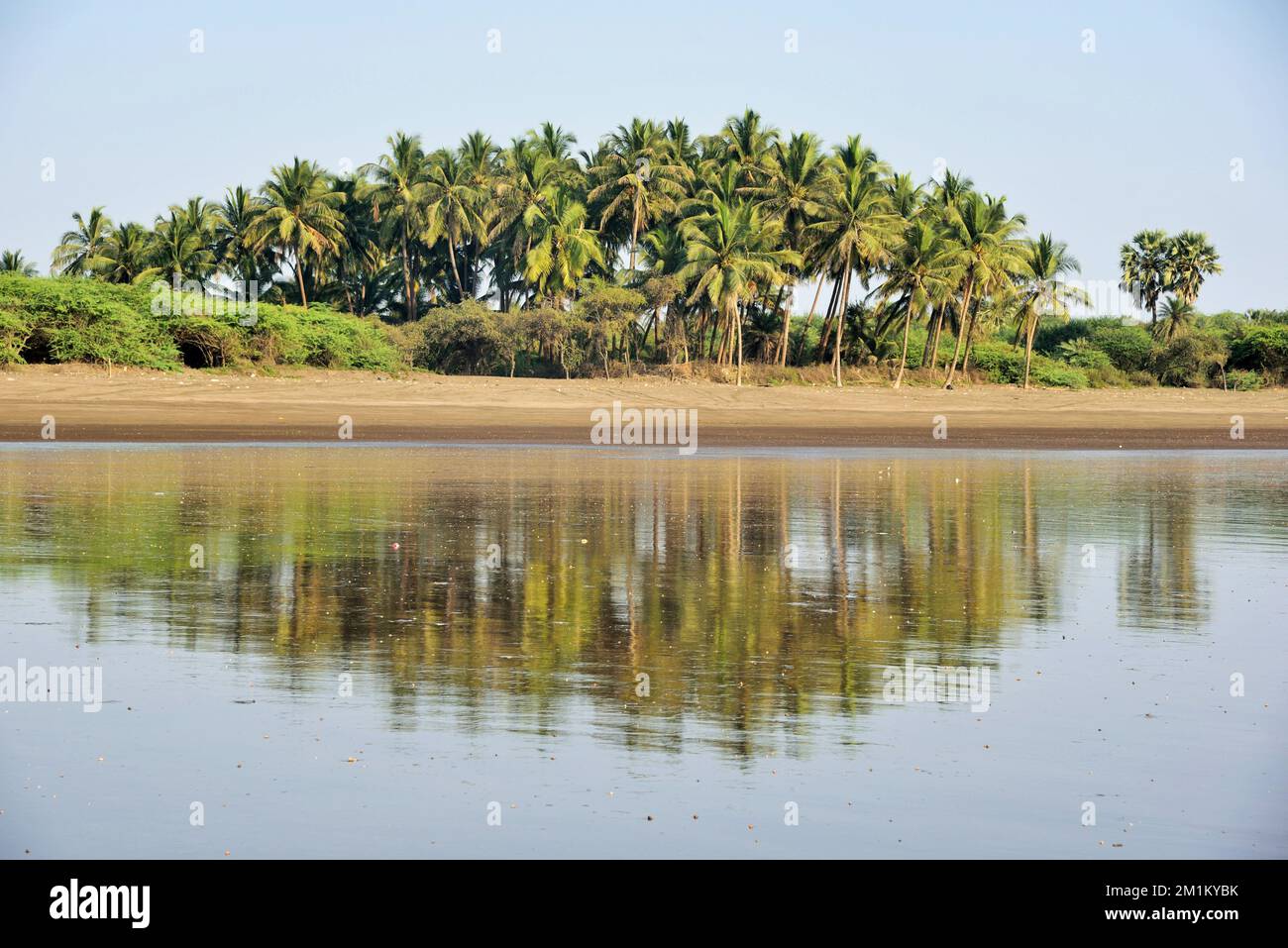 Palmen strand -Fotos und -Bildmaterial in hoher Auflösung – Alamy