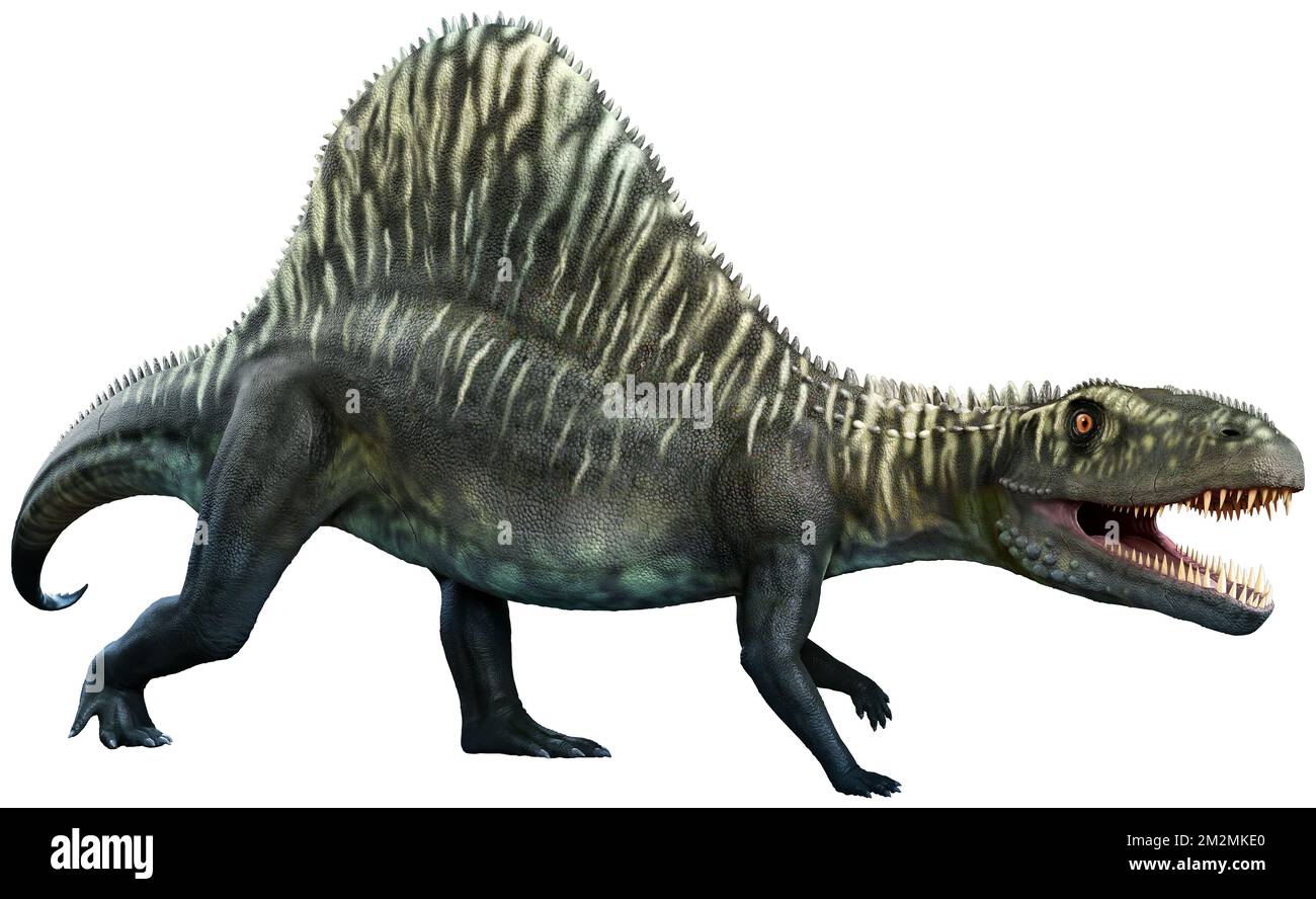 Arizonasaurus babbitti -Fotos und -Bildmaterial in hoher Auflösung – Alamy