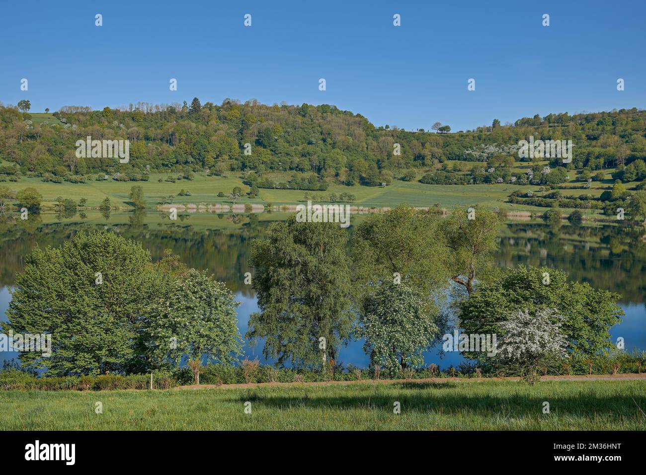 Der Vulkansee heißt Schalkenmehrener Maar, die Eifel, Deutschland ...