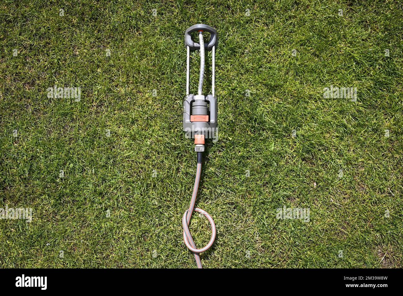 Die Abbildung zeigt einen Sprinkler, der an einen Wasserschlauch mit ...