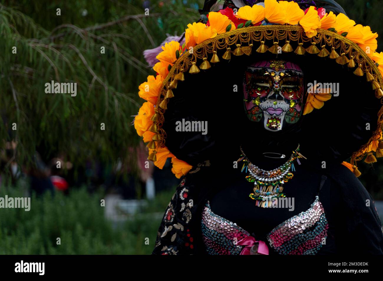 Catrina costume -Fotos und -Bildmaterial in hoher Auflösung – Alamy