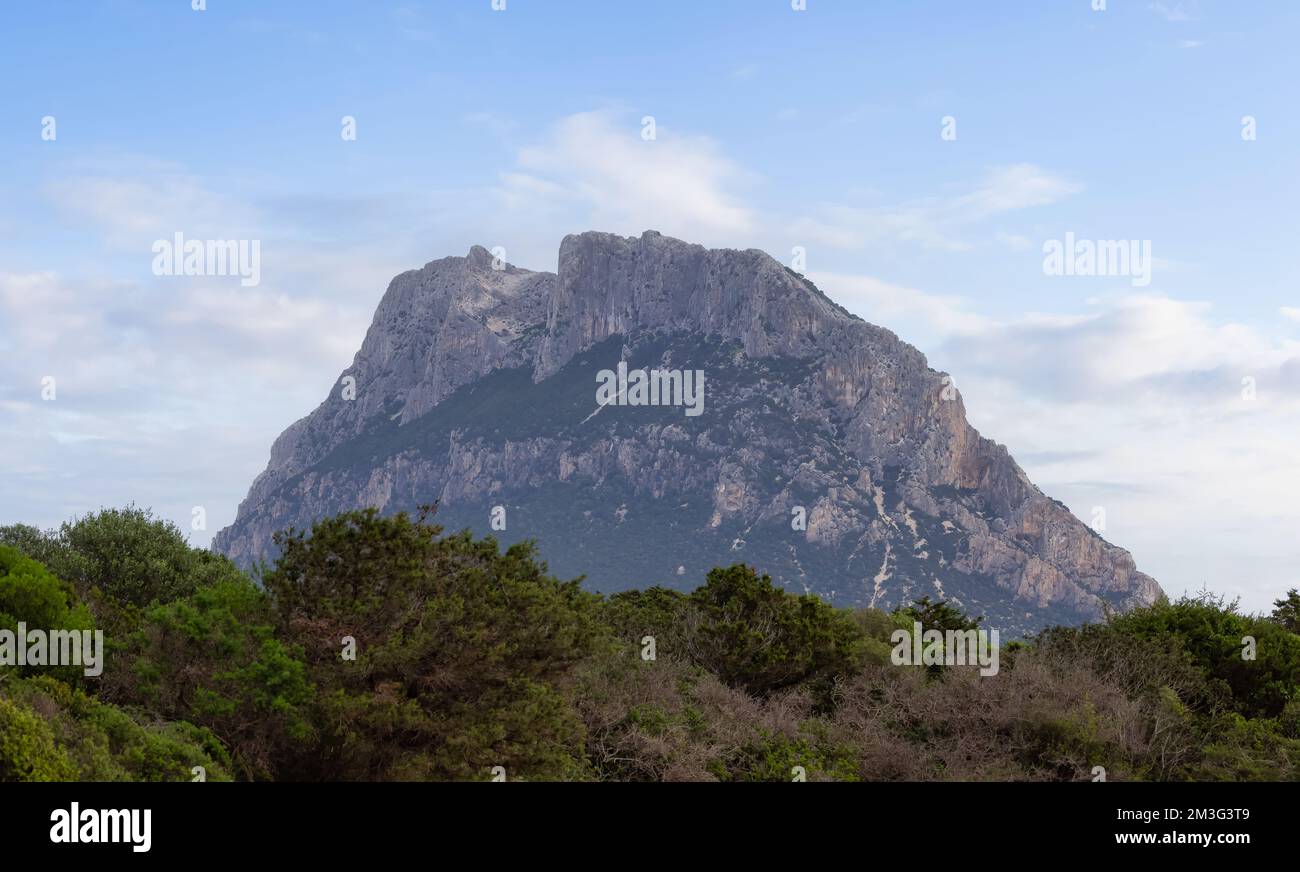 Tavolara hintergrund -Fotos und -Bildmaterial in hoher Auflösung – Alamy